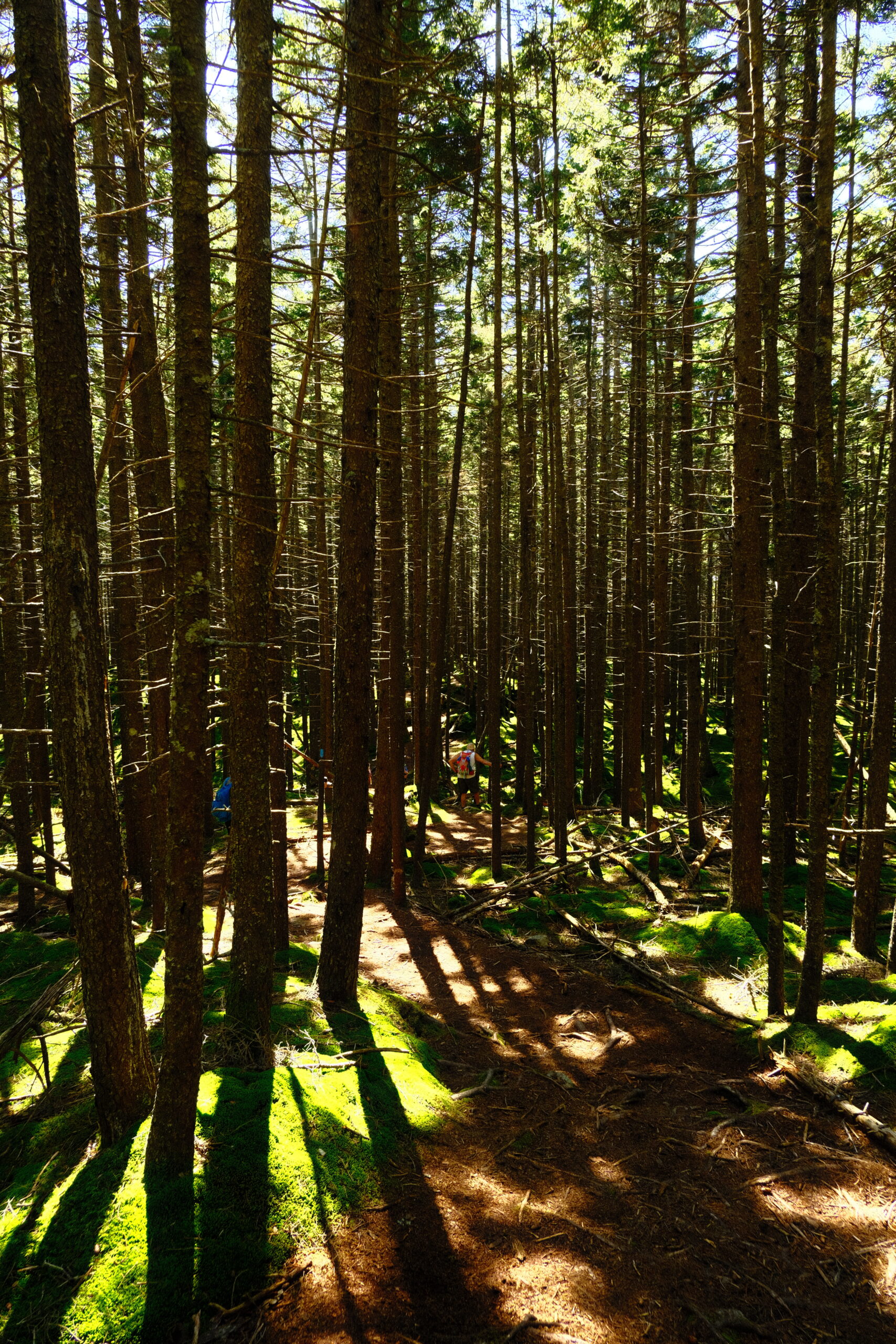 Eight Things That Will Surprise You About Acadia National Park - The ...